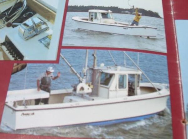 Classic Shamrocks - The Official Shamrock Boats