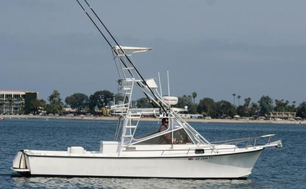 Classic Shamrocks - The Official Shamrock Boats