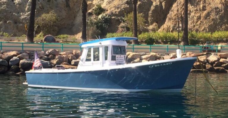 Classic Shamrocks - The Official Shamrock Boats