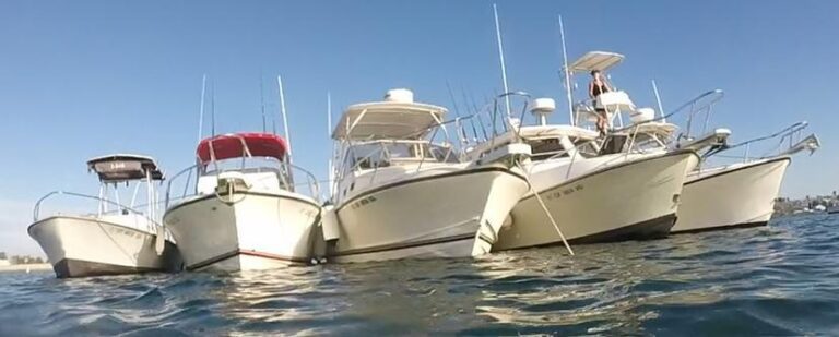 Classic Shamrocks - The Official Shamrock Boats